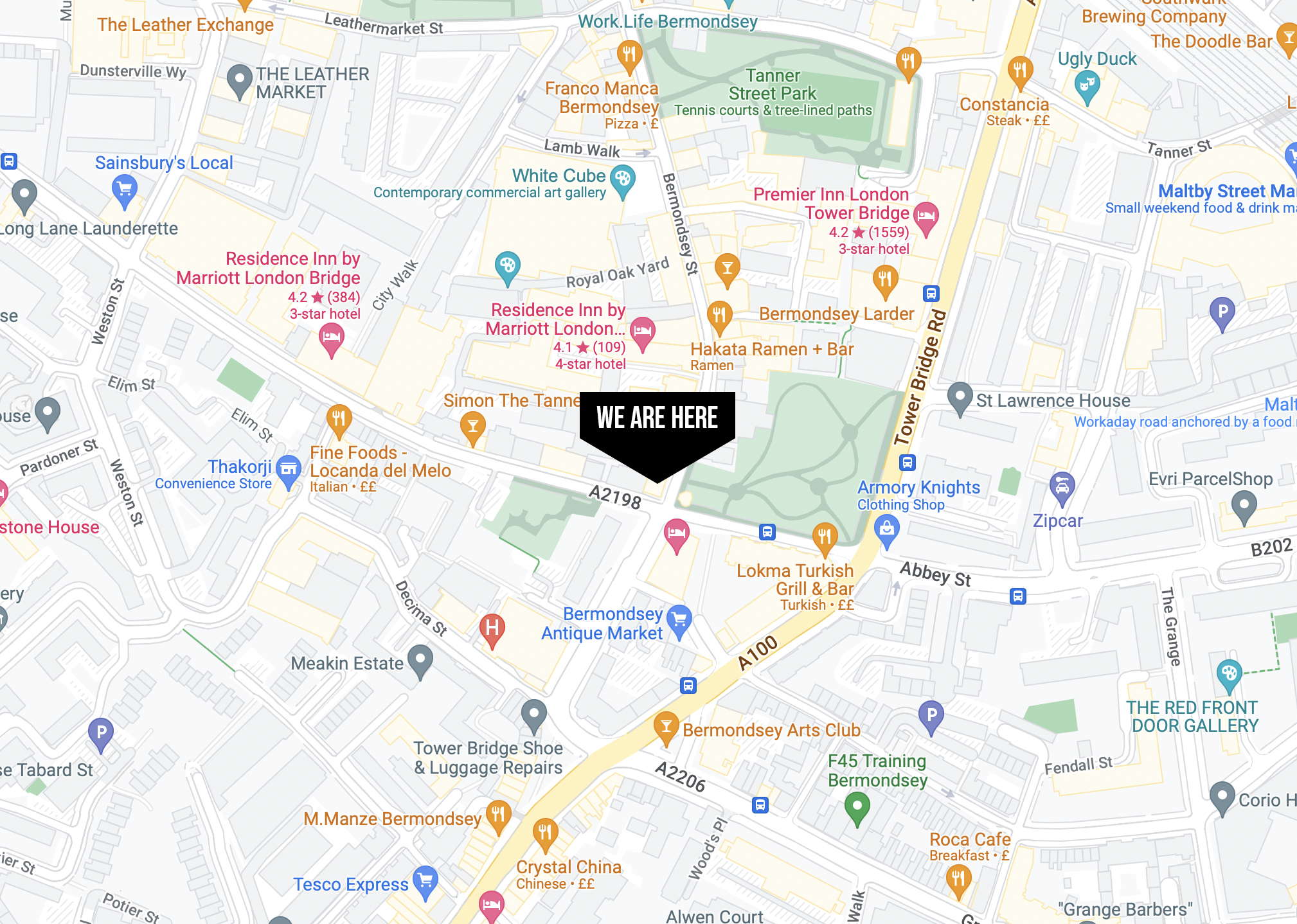 Established Models - Contact